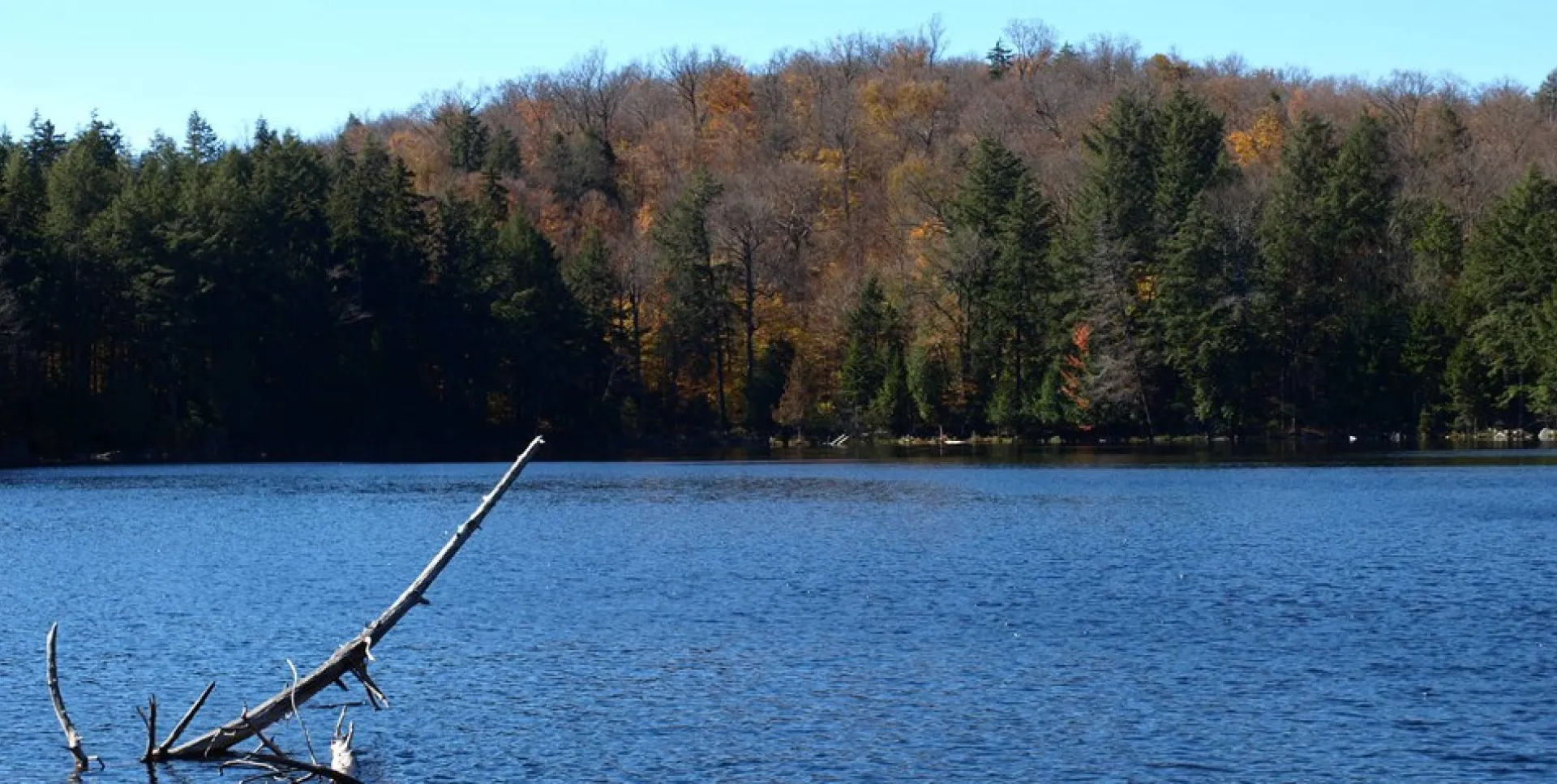 Panther Pond | Tupper Lake