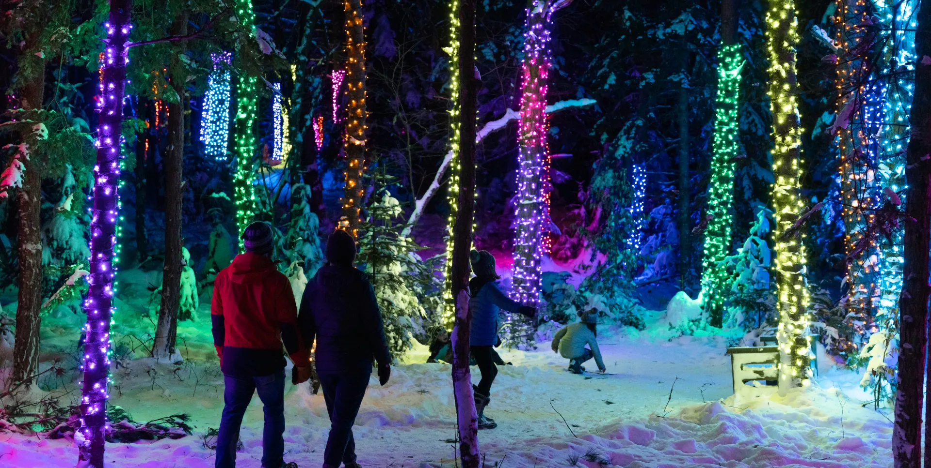 Top 5 Things to do in Tupper Lake this Winter | Tupper Lake