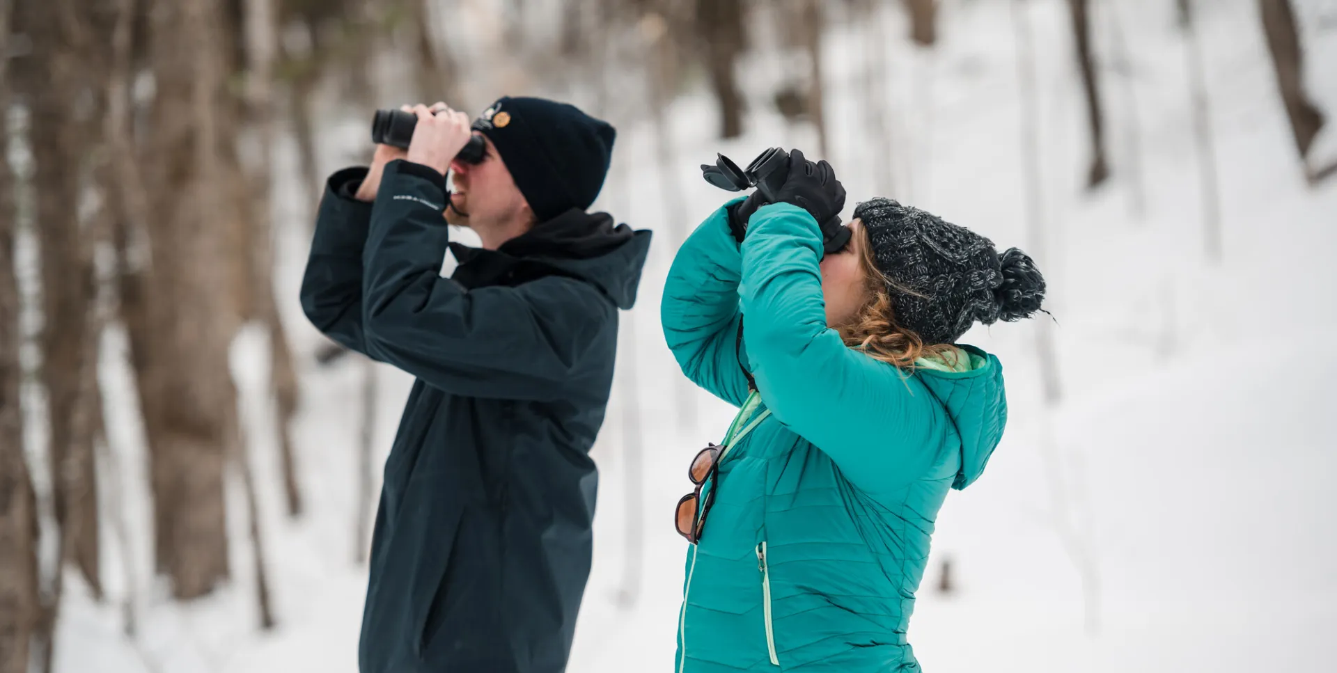 Peaceful Winter Birding | Tupper Lake