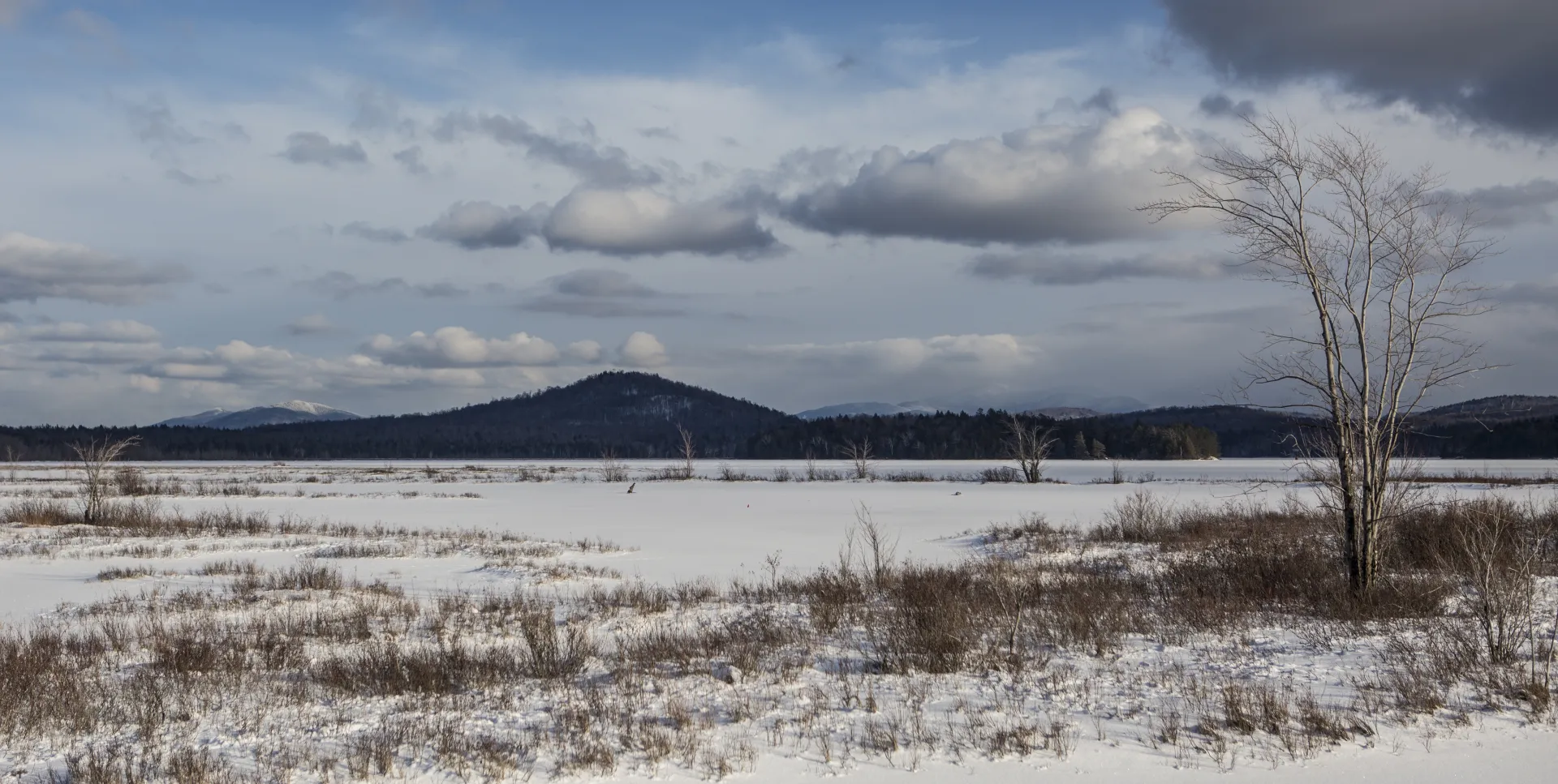 Lessons Learned | Tupper Lake