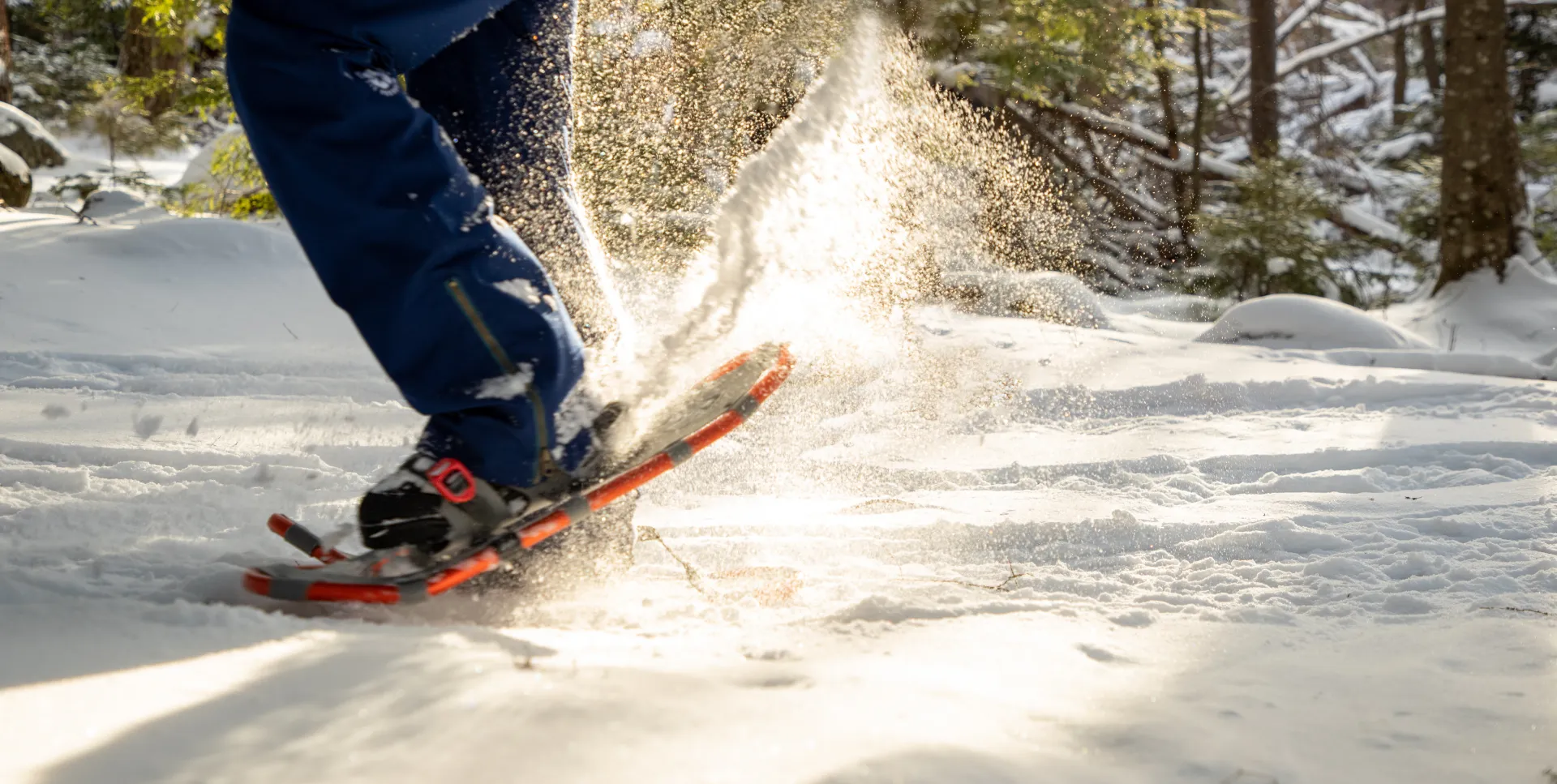Winter Hikes | Tupper Lake