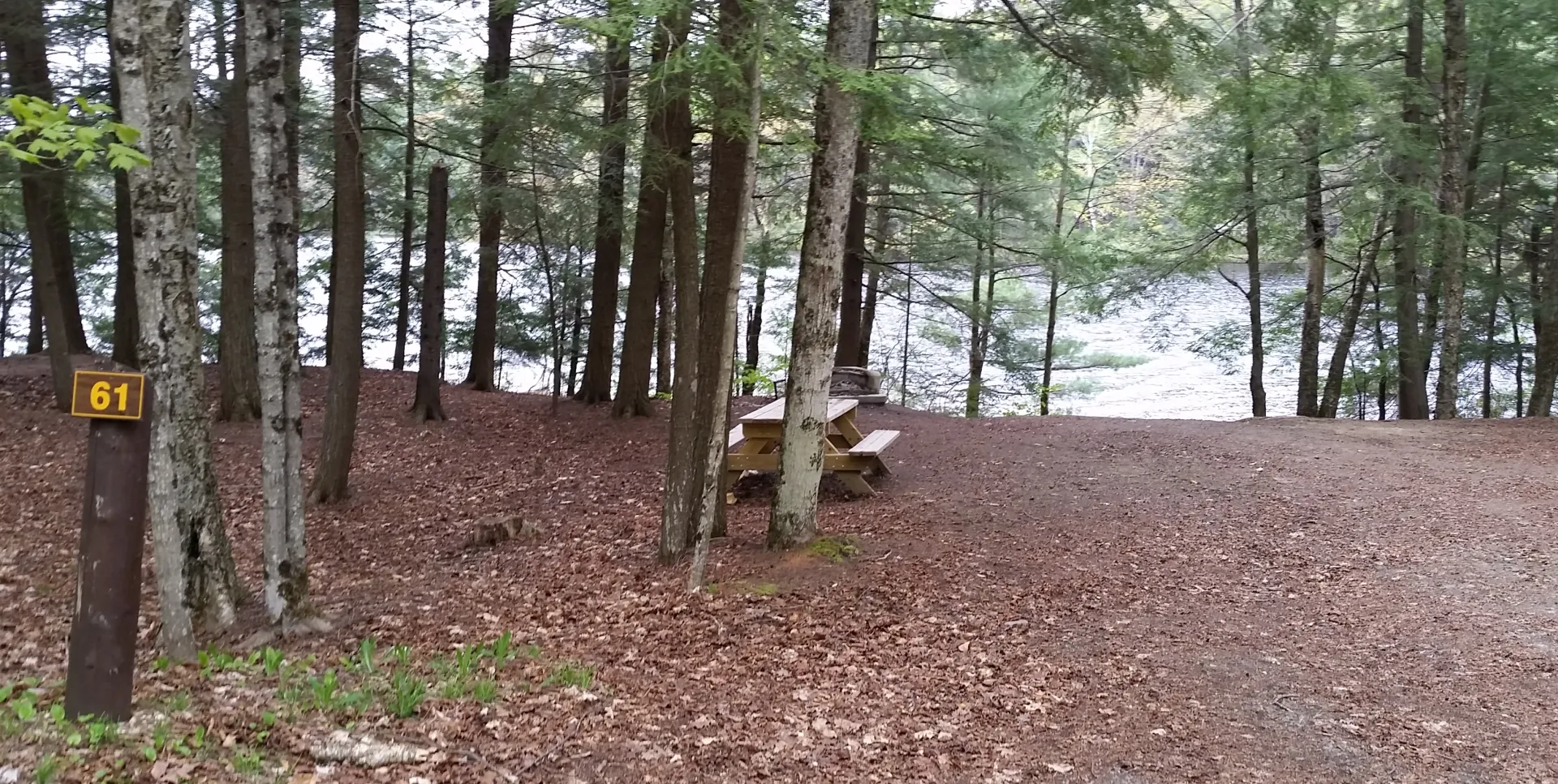 Spring into Summer | Tupper Lake