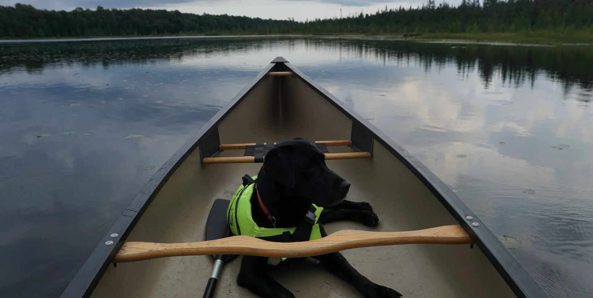 Paddling, Exploring, and Reflecting on Tooley Pond | Tupper Lake